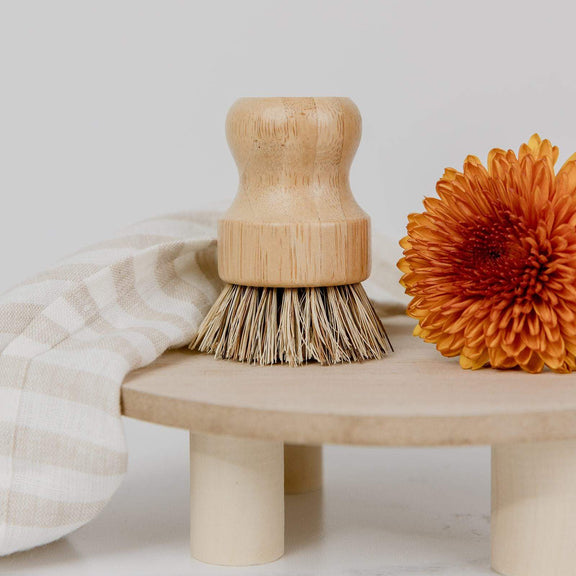 Pot Scrubber - Eco Friendly Scrub Brush - ZWS Essentials ...
